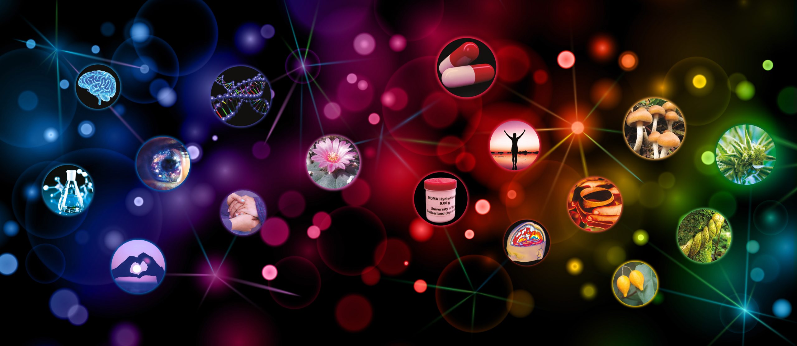 background – Multidisciplinary Association for Psychedelic Studies – MAPS