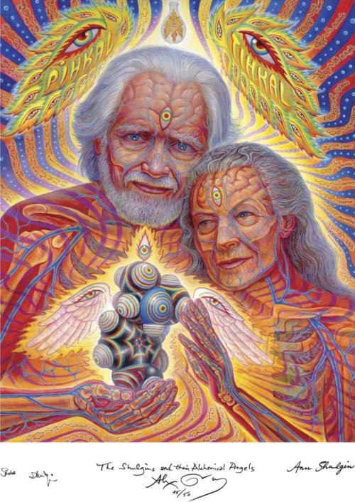 The Shulgins & their Alchemical Angels – Alex Grey 1 ...
