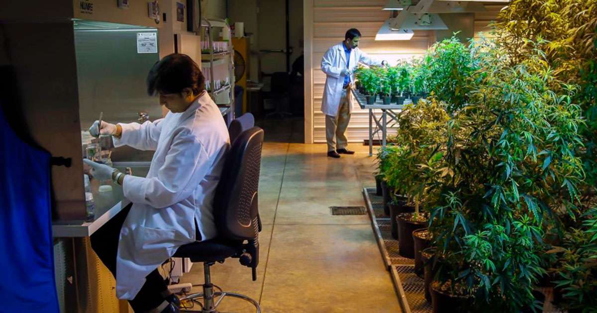 After On Podcast- Fighting PTSD with MDMA Part One – Episode 48 ...