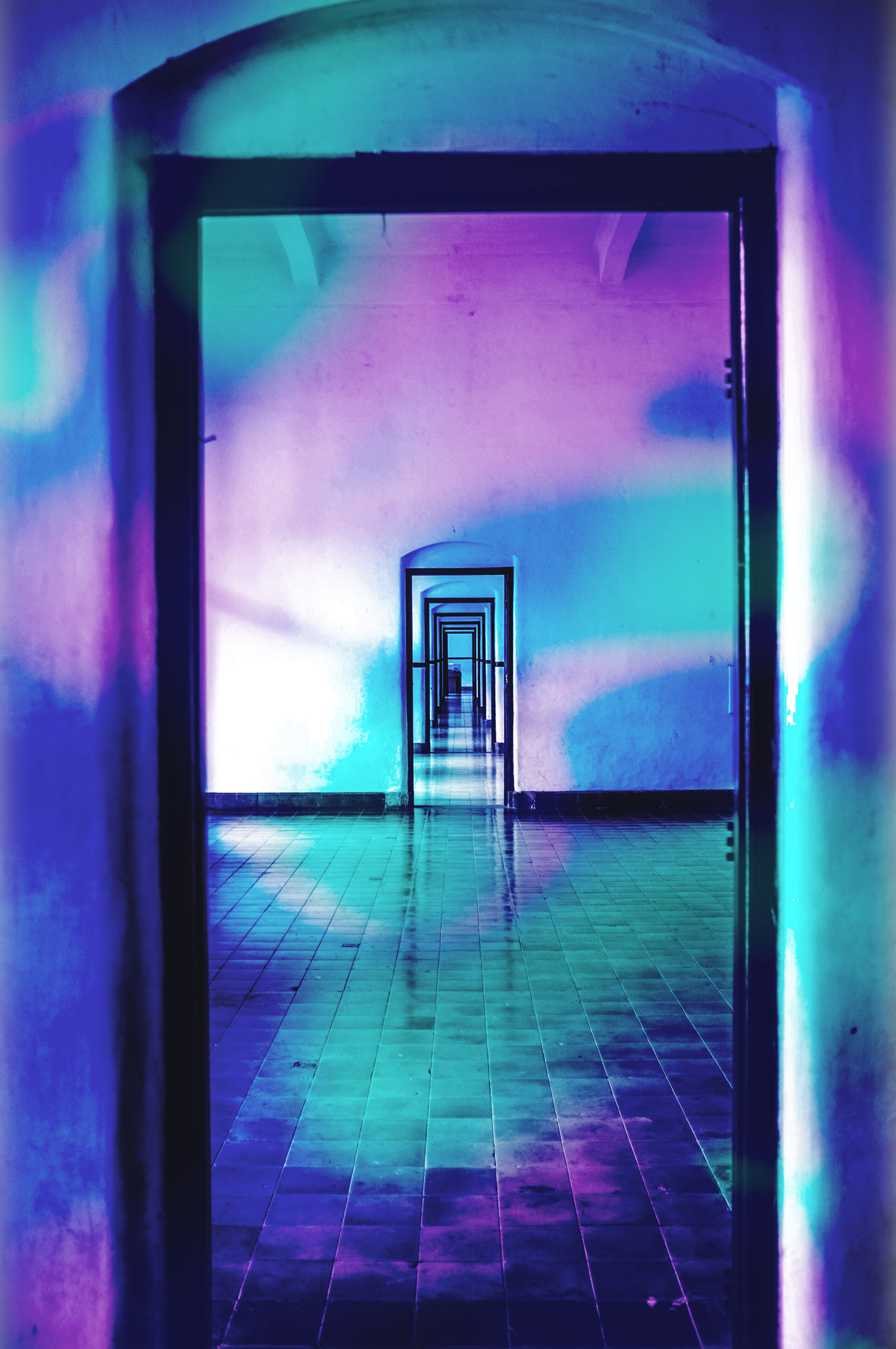 access-doors – Multidisciplinary Association for Psychedelic Studies – MAPS